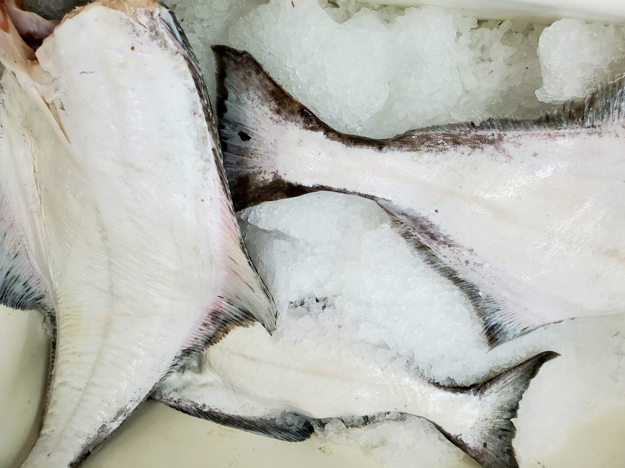 Federal judge dismisses Alaska trawlers’ lawsuit that sought to ...